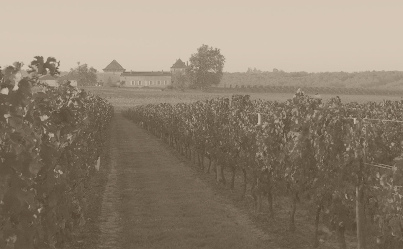 Château Labatut – Cellar Door Aoyama